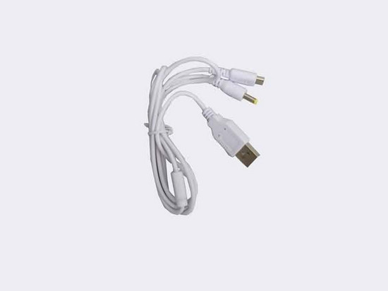 NDSL/PSP charge cable - Westingames